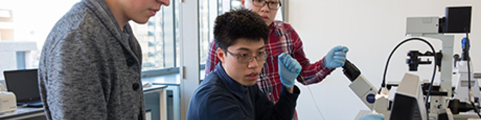 Biomedical Engineering | Graduate Admissions & Student Services ...